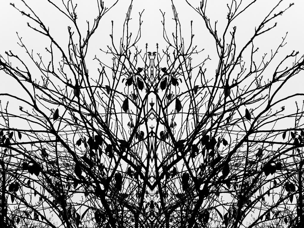 Autumn Leaves - daaamn.com